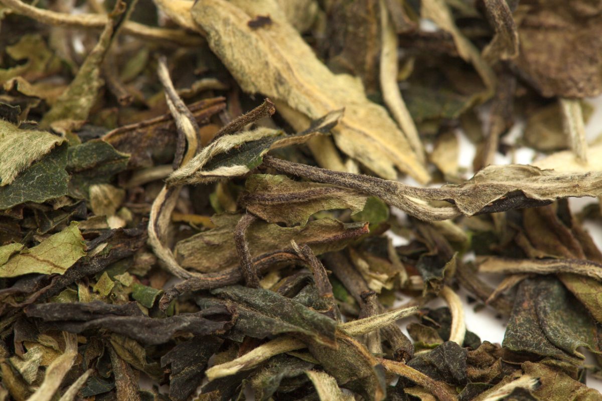 The Four Grades of Fujian White Tea
