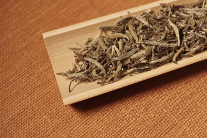 The Legend of Silver Needle Tea